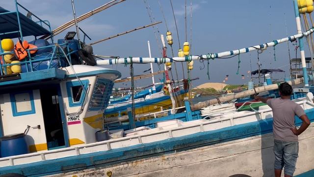 2022 год Шри Ланка - рыбный рынок и рыбацкий порт!