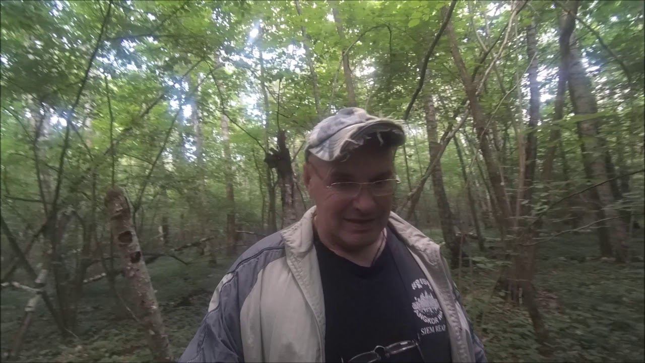 Ох грибы грибочки