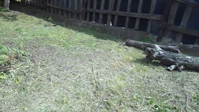 19.05.2023 _ Участок 59 _