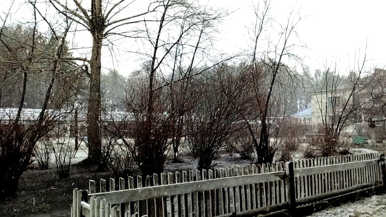 04.05.18. Снег в начале мая. То ли еще будет)