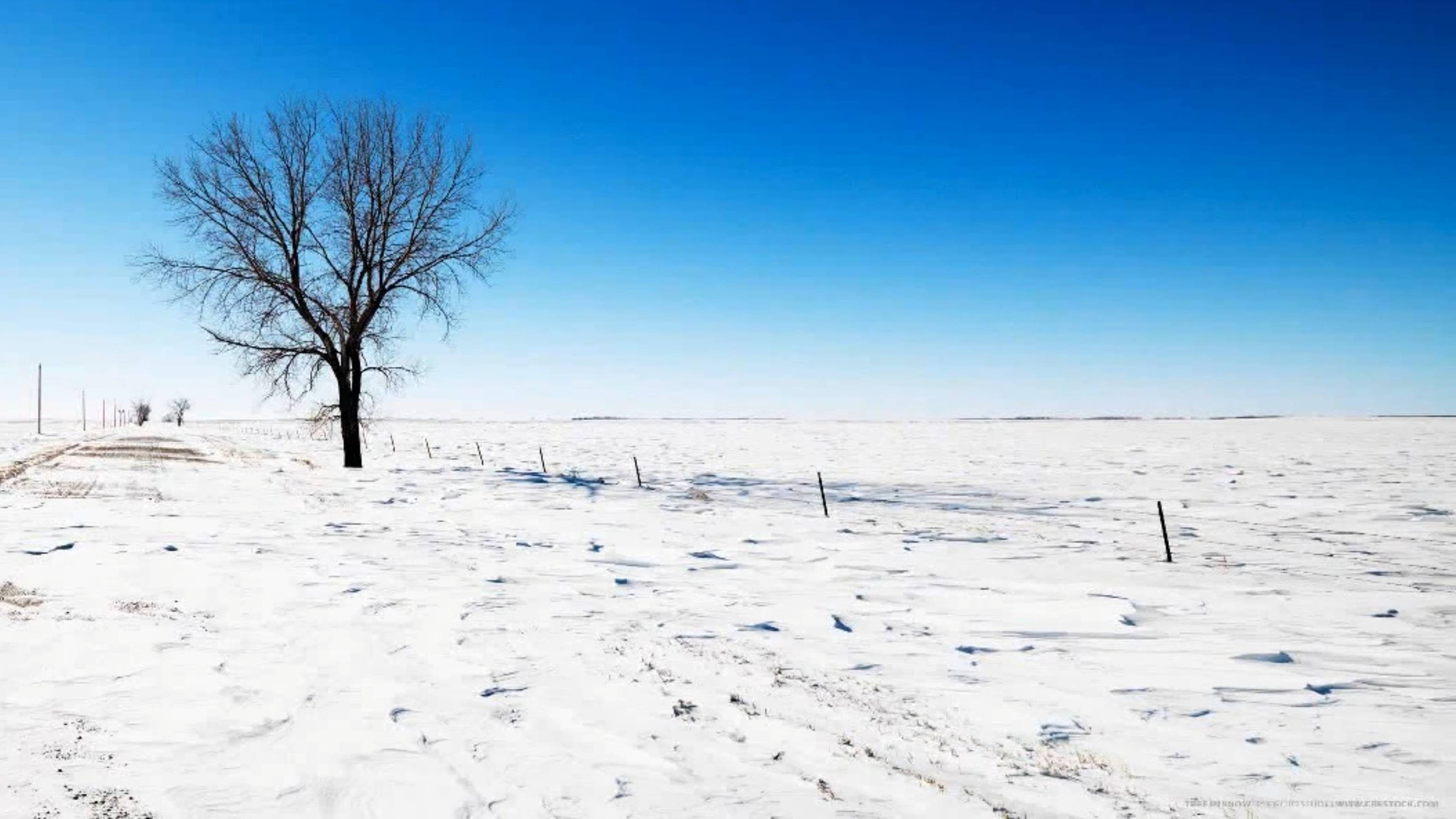 gorm-sorensen-before-the-last-snow-disappeared