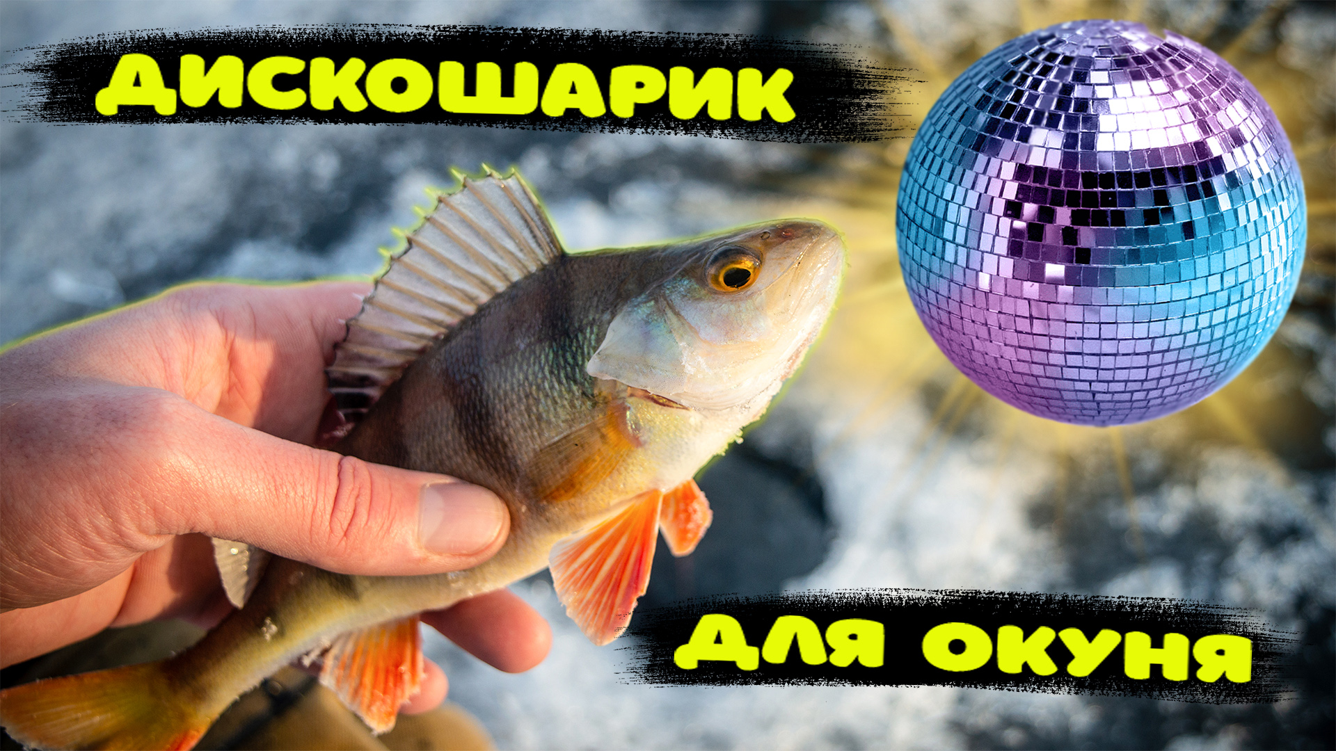 Ловим окуня на мормышку "Дискошарик" \ Отчёт с рыбалки