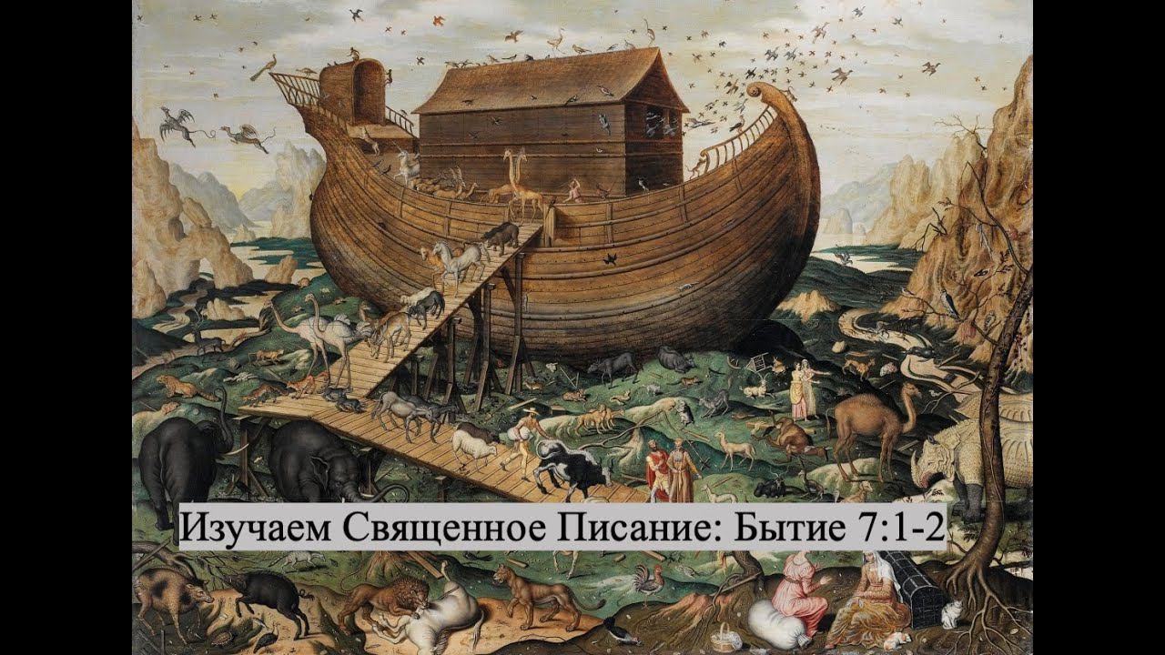 Изучаем Священное Писание (Ветхий Завет): детальный разбор книга Бытия, 7 глава. 1 и 2 стихи.