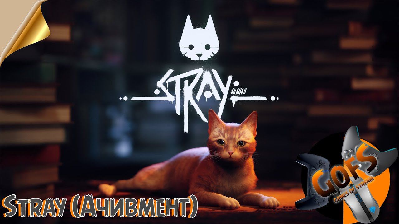Stray Ачивмент