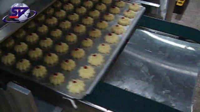 RoboForm (печенье)