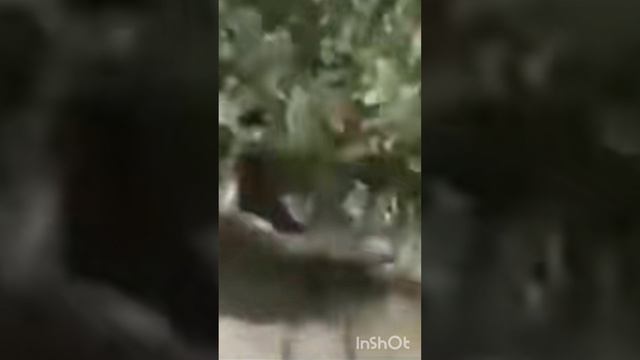 НОВИНКА УРАЛ АВТОПИЛОТ 🤯🦾