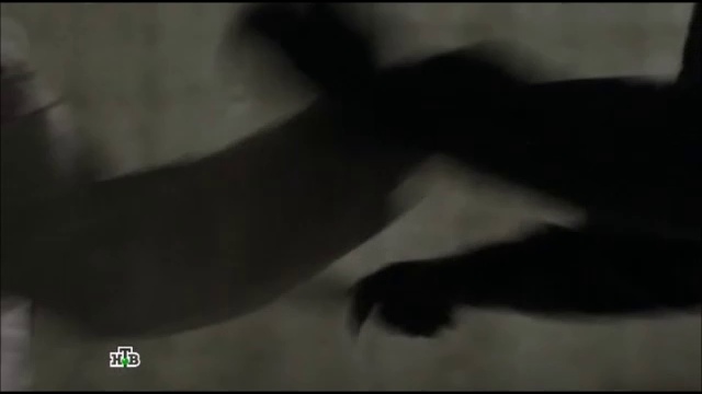 Ножевой бой в кино