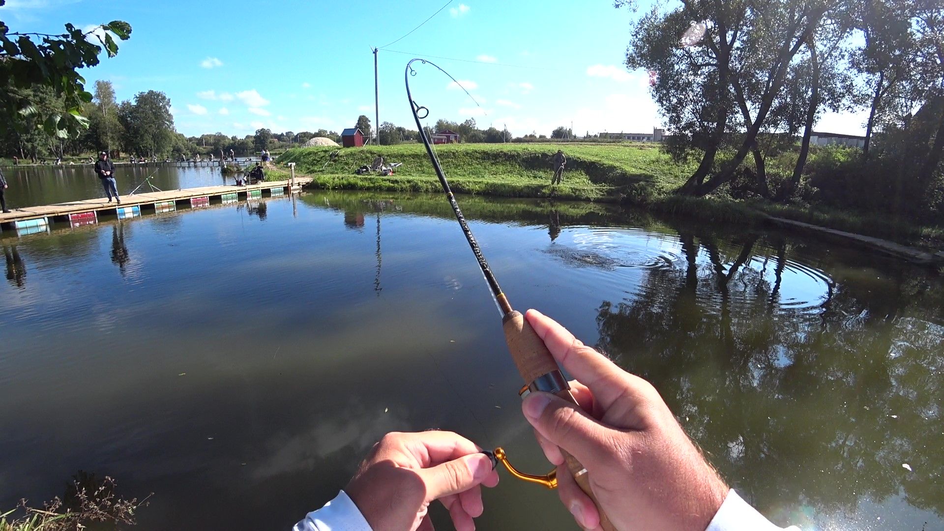 ПОЙМАЛ В ЛУЖЕ ФОРЕЛЬ Ловля форели на резину осенью