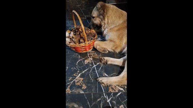 День рождения