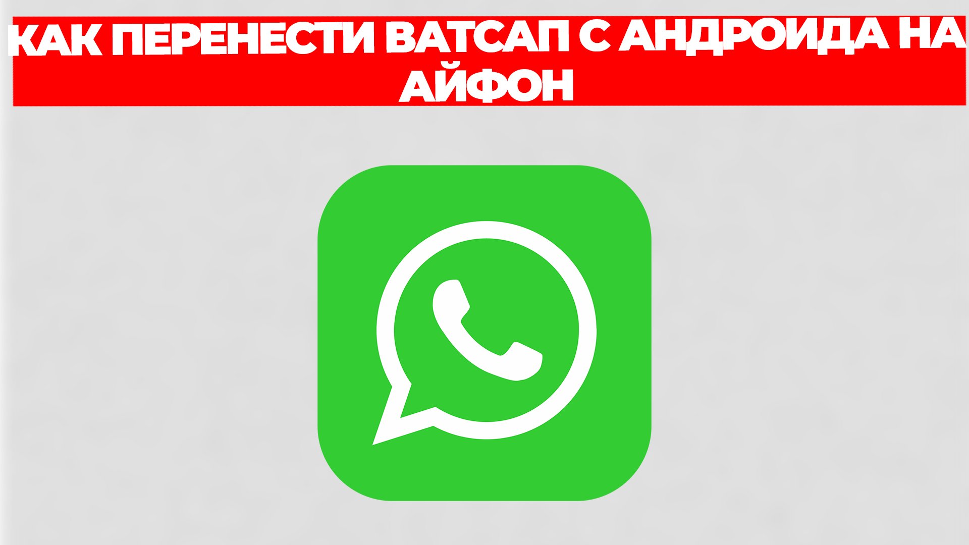 КАК ПЕРЕНЕСТИ ВАТСАП С АНДРОИДА НА АЙФОН