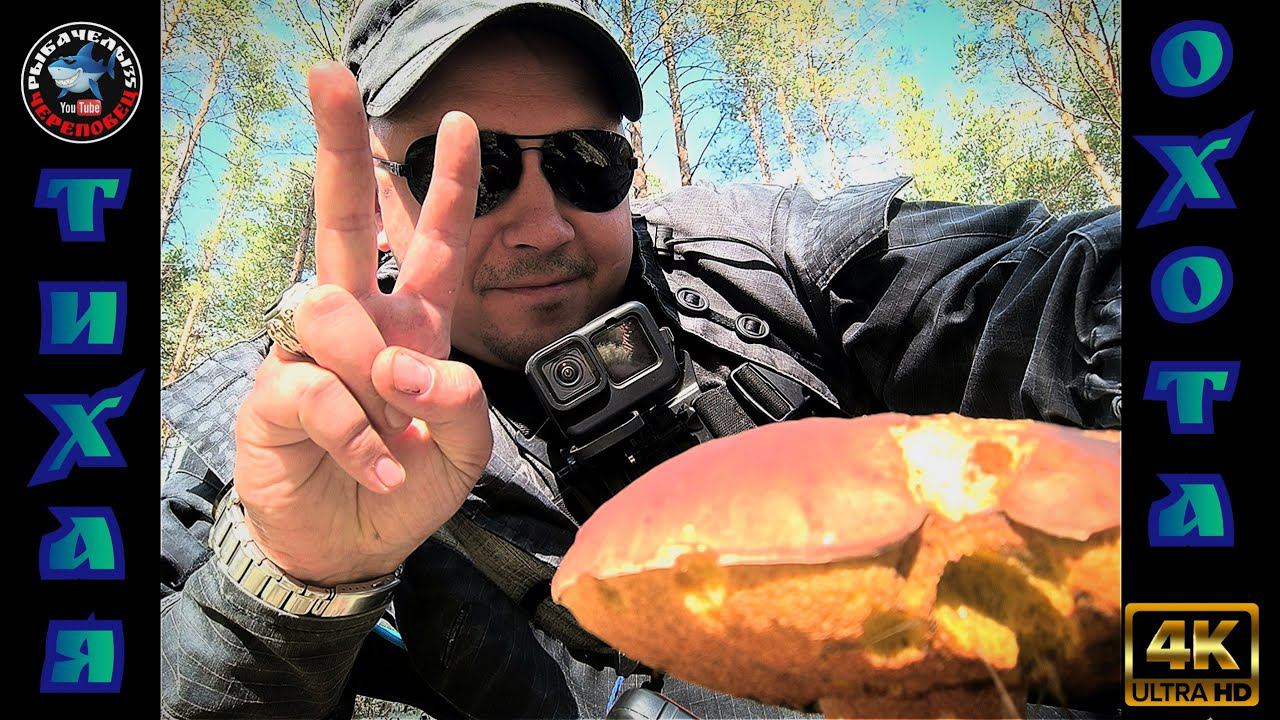 Грибалка 2023 Тихая охота! Грибное БЕЗУМИЕ! НАШЛИ КАБАНЬЮ ДОРОГУ!