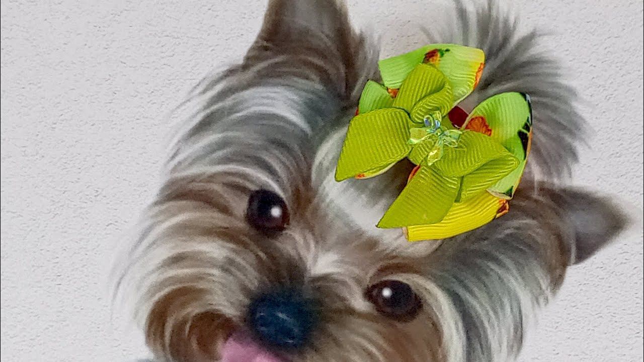 МК. Красивый бантик для вашей милашки.