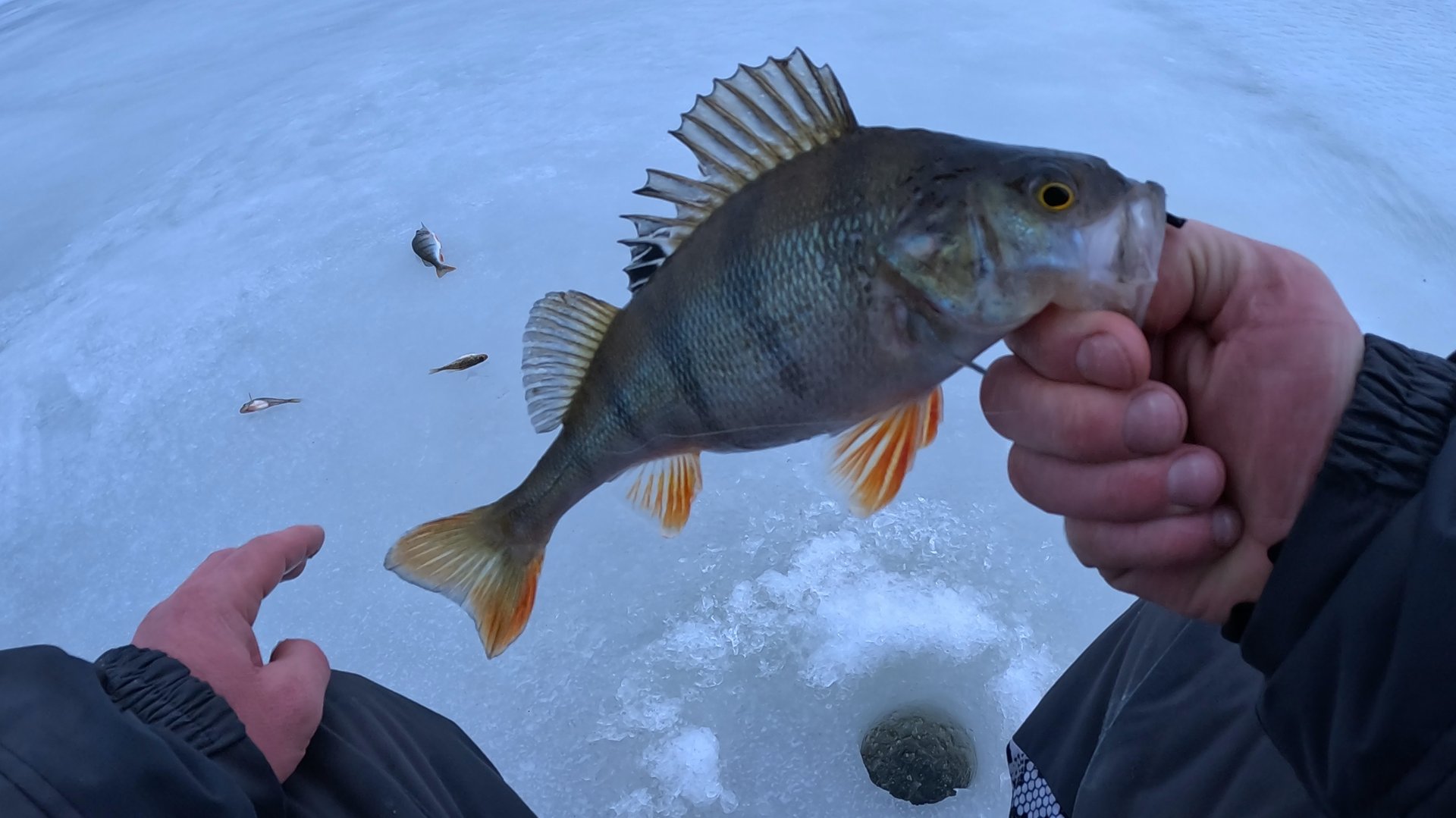 Рыбалка на Псковском озере