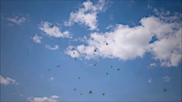 9 Дракон снимает заклятье