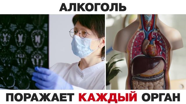 2022: Опасность алкоголя