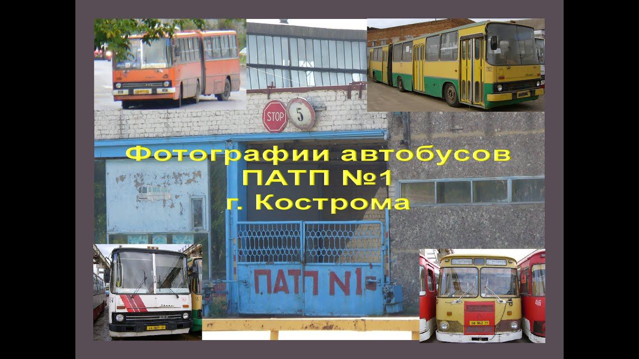 Кострома. Автобусы ПАТП №1. (2004-2011 гг)