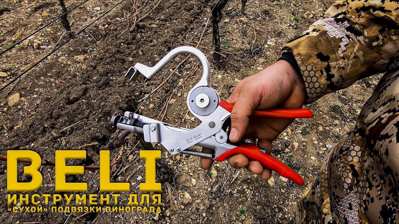 Beli. Инструмент для сухой подвязки винограда
