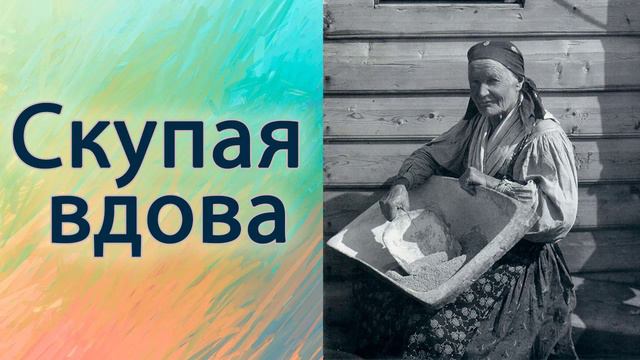 Скупая вдова
