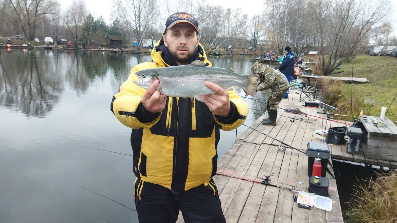 Безлимит, ловля пассивной форели