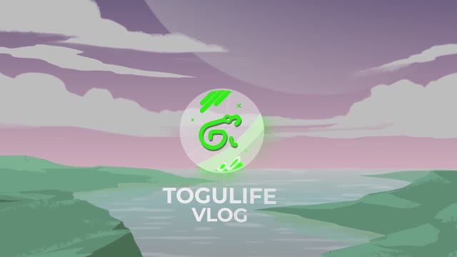 ТОГУЛАЙФ ВЛОГ "Давай поедем во Владивосток!"