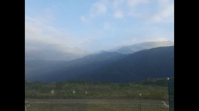 Тусхорой1.mp4