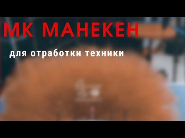 МАСТЕР-КЛАСС ПО ПО СОЗДАНИЮ И СТРИЖКЕ МАНЕКЕНА ДЛЯ ОТРАБОТКИ ТЕХНИКИ ВЛАДЕНИЯ НОЖНИЦАМИ. Отрывок