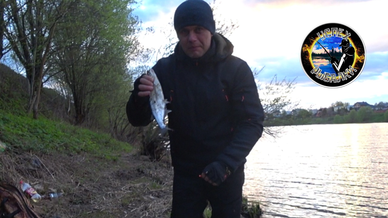 Чехонь ОНЛАЙН на пенопласт. Вечерняя рыбалка