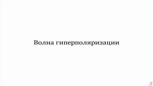 3.3 Параметры нервной системы. Волна гиперполяризации