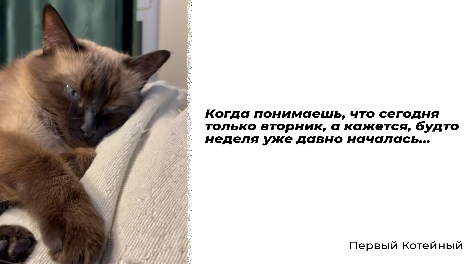 Когда понимаешь, что сегодня только вторник, а кажется, будто неделя уже давно началась...