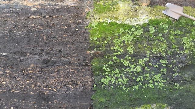 Стратиграфия Новгорода