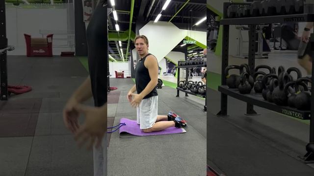 Обратные нордические сгибания