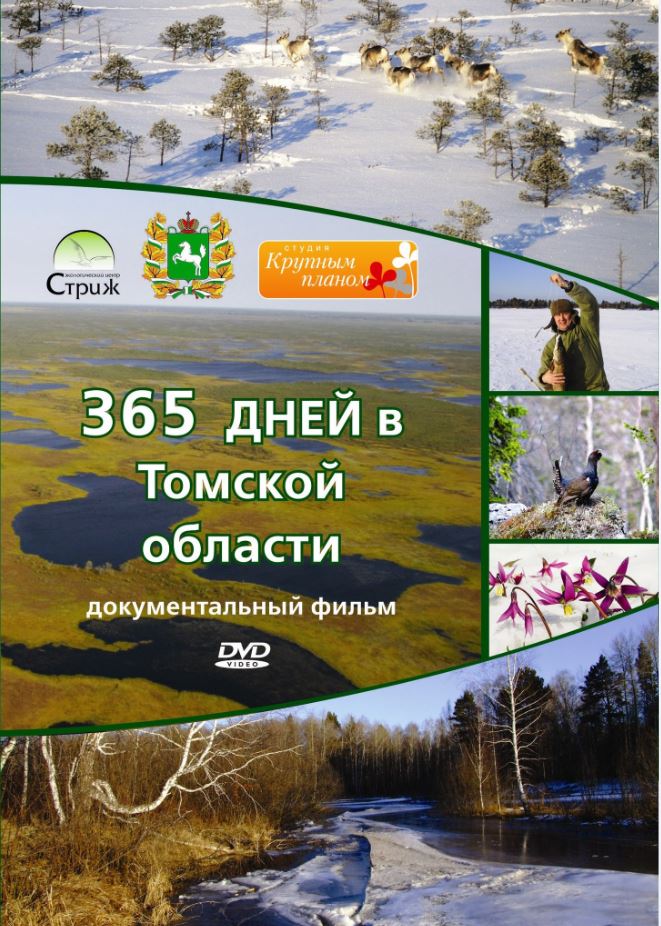 365 дней в Томской области.mp4