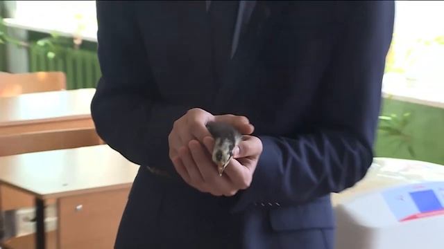 Вести с полей развитие сельского хозяйства