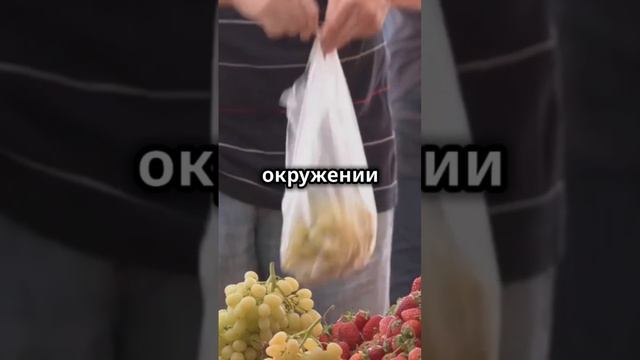 ☀️  Лето  -  время  для  себя:  В  поисках  гармонии  с  собой  и  с  едой!  🌿