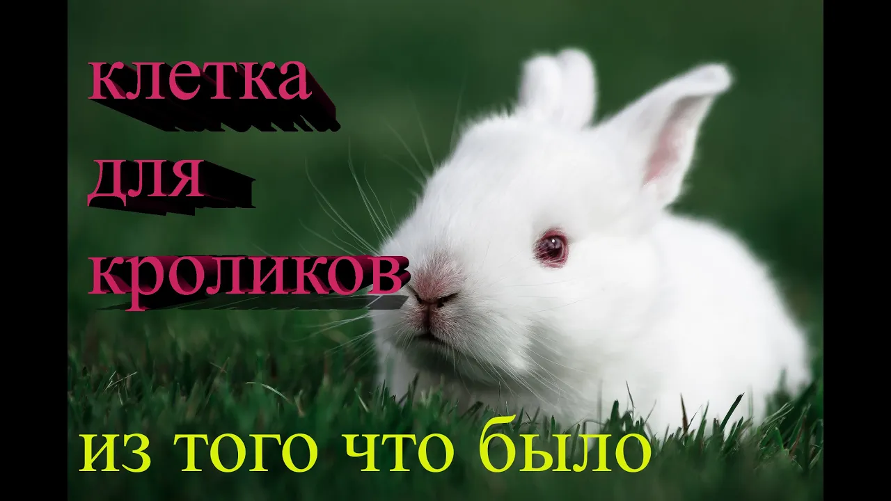 клетка для кроликов