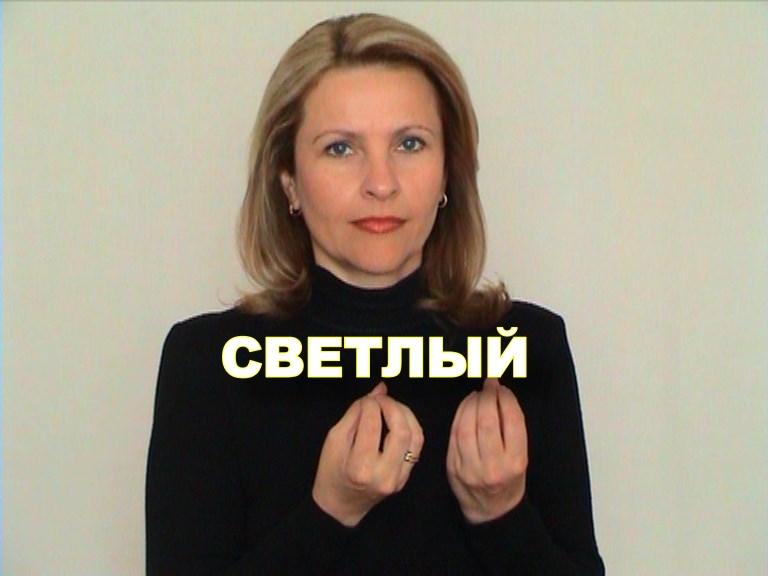 ЖЕСТОВЫЙ ЯЗЫК. СЛОВАРЬ. Светлый