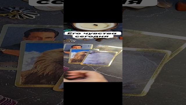 export_173338209555399224.mp4