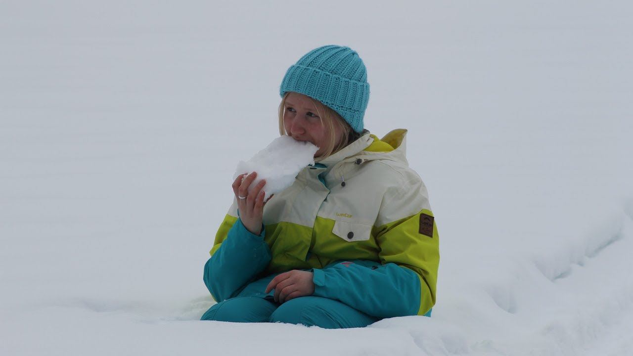 Финляндия, часть 3 — полярный зоопарк и домик у озера, февраль 2024