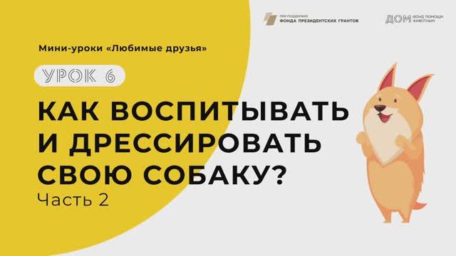 Цикл «Любимые друзья». Урок №6. Как воспитывать и дрессировать свою собаку? (Часть 2)