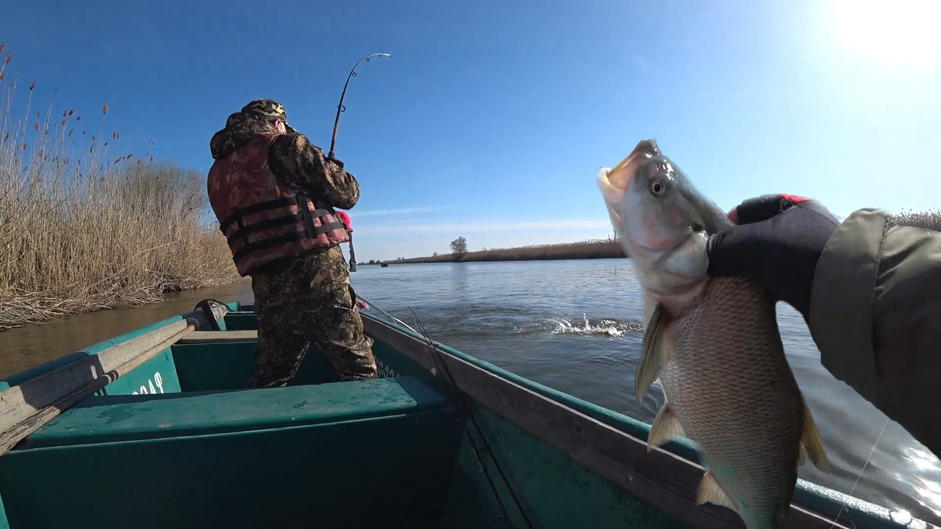 Ловим жереха на Нижней Волге воблерами, в заброс и троллингом