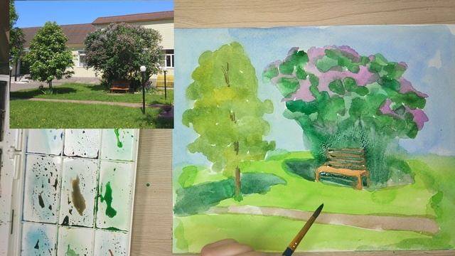 этюд группы деревьев .mp4