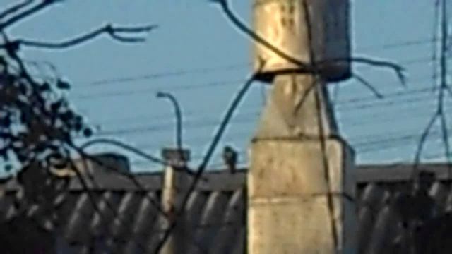 Голубь на крыше 54684864 DSCN5411