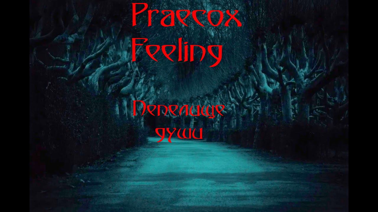 Praecox Feeling-Это не ты