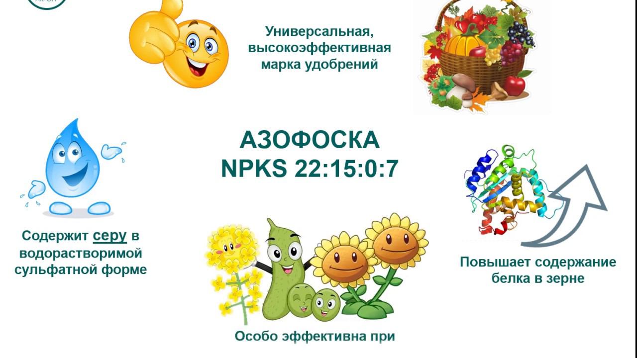 Как получить гарантированно высокий урожай сои? NPKS 22:15:0:7