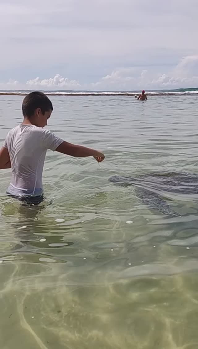 Шри-Ланка. Как попасть на Черепаший пляж.
Шри Ланка за 58 тысяч рублей с перелетом. Тутси влог.