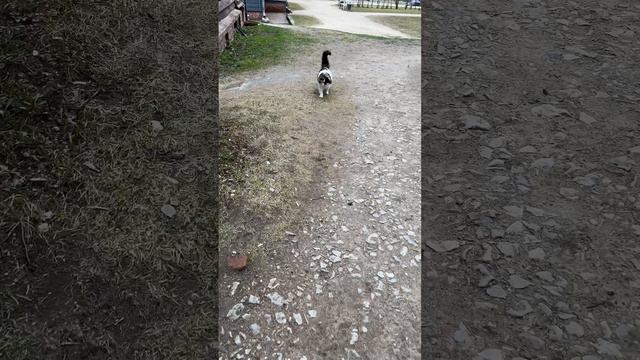 Усадьба Мураново