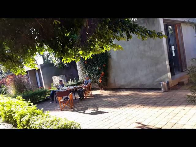 Утро в эко-отеле.