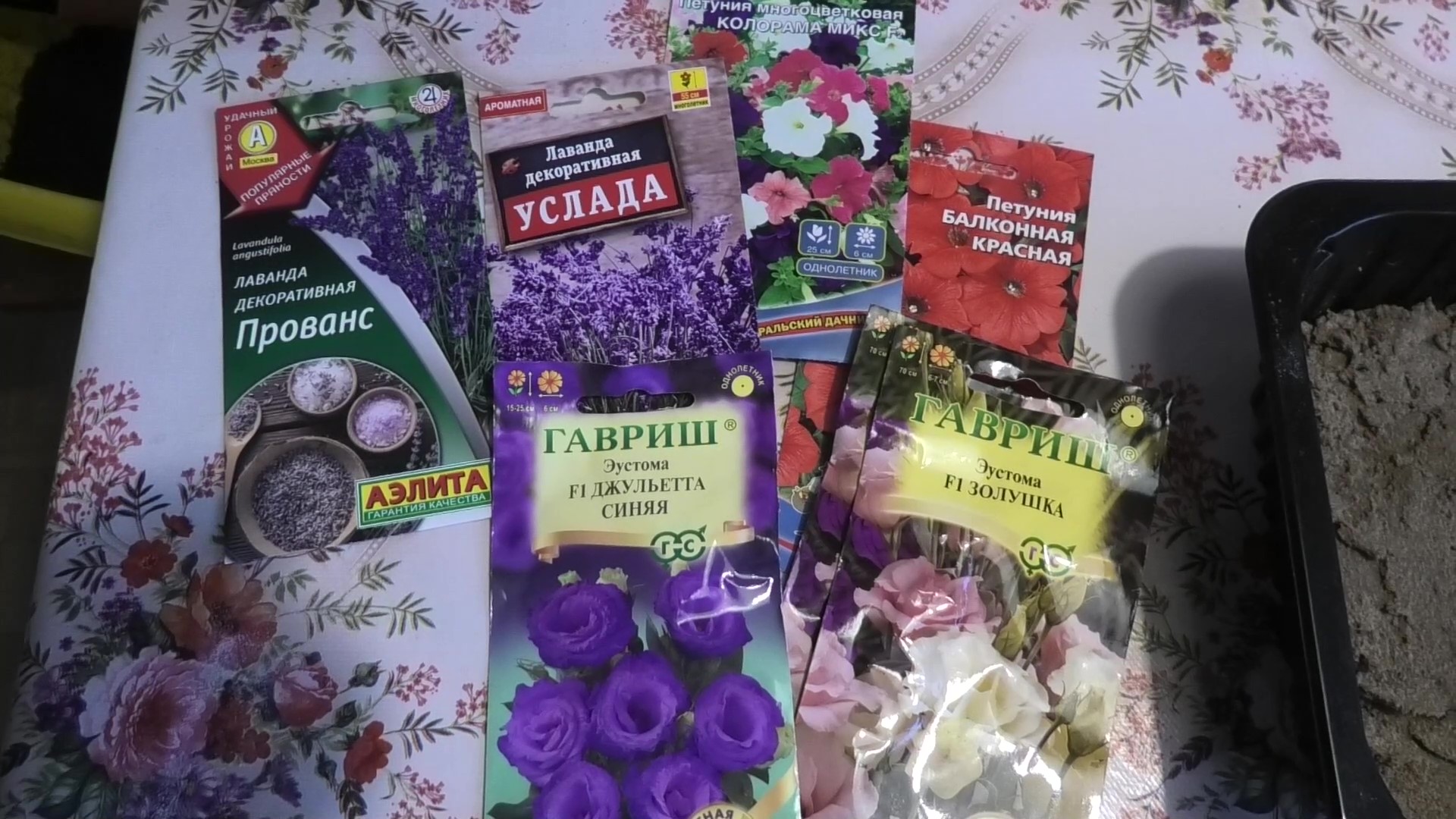 29 01-4 02 2024г  рассада,продолжаю посев