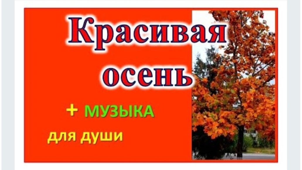 КРАСИВАЯ ОСЕНЬ. 
Александра Миркушова