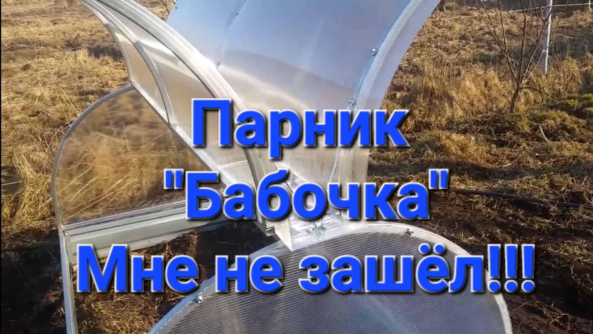 Парник Бабочка.